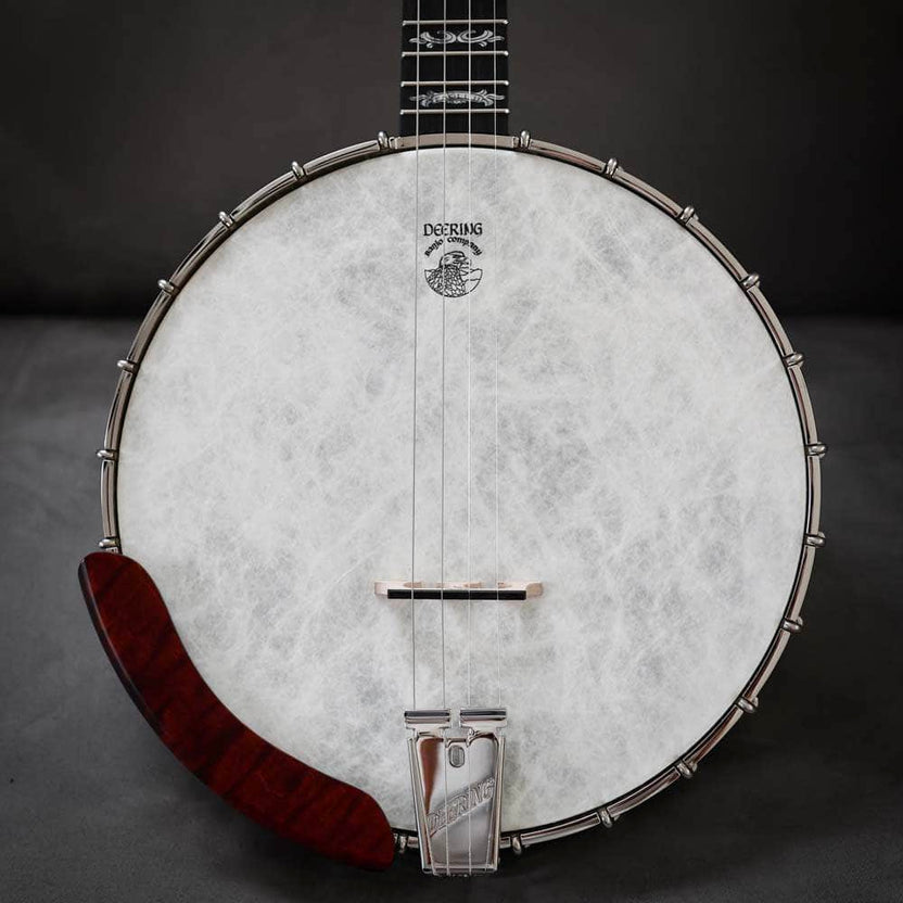 Renaissance Banjo Head – Banjo Studio