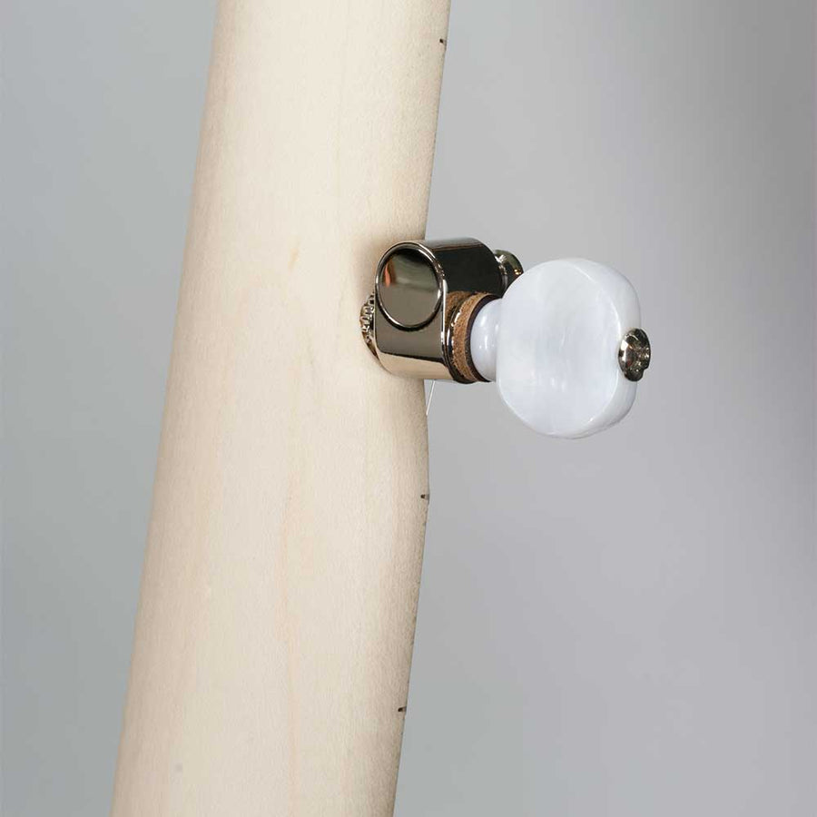 Beginner Banjo Package - Deering Goodtime Banjo – Banjo Studio