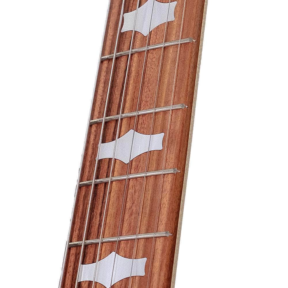 Deering Goodtime Six 6 String Banjo - Banjo Studio