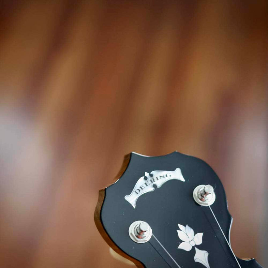 Deering White Lotus 5-String Banjo - Made of White Oak – Banjo Studio