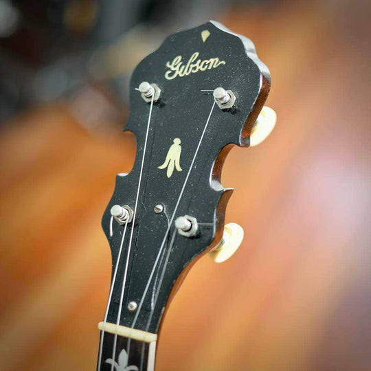 How To Tune a Banjo - Popular Tunings – Banjo Studio