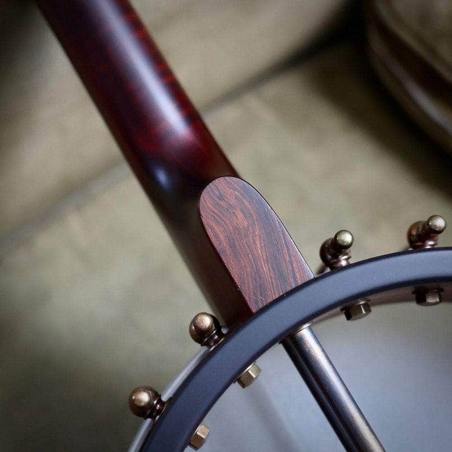 Ome Juniper 19-Fret Tenor Banjo - Irish Setup – Banjo Studio