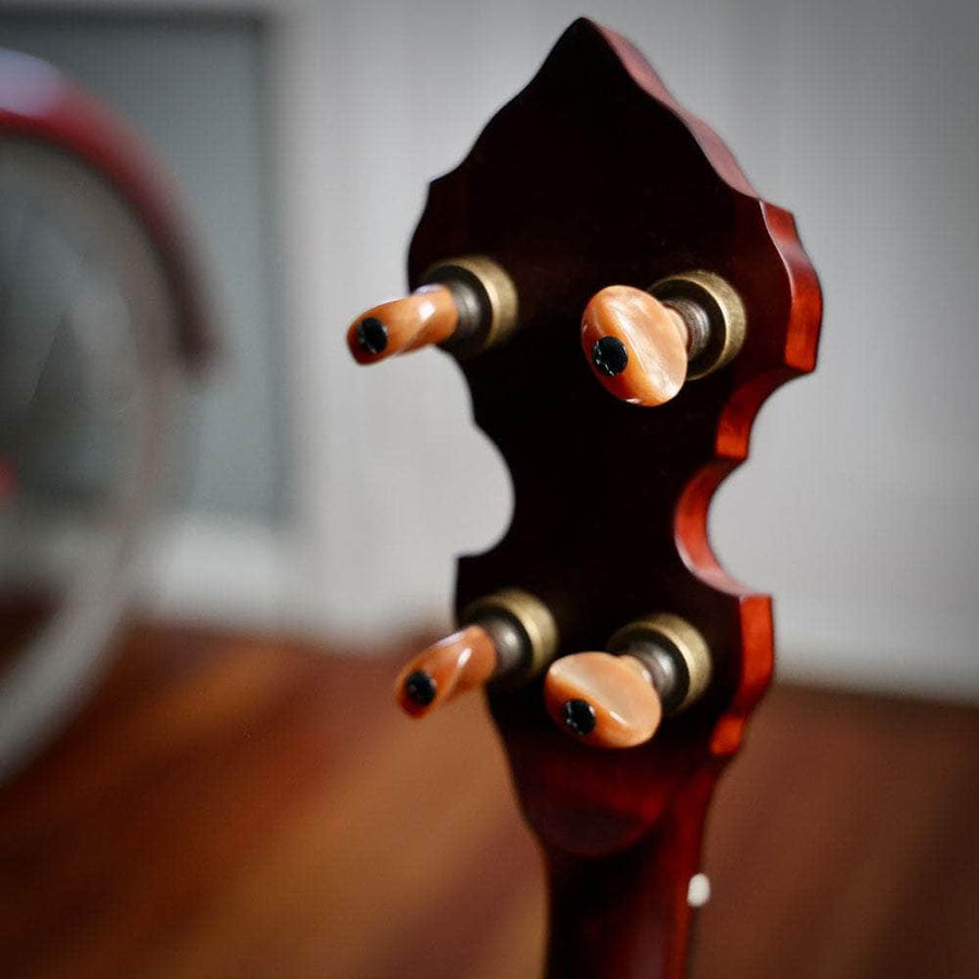 Ome Juniper 19-Fret Tenor Banjo - Irish Setup – Banjo Studio