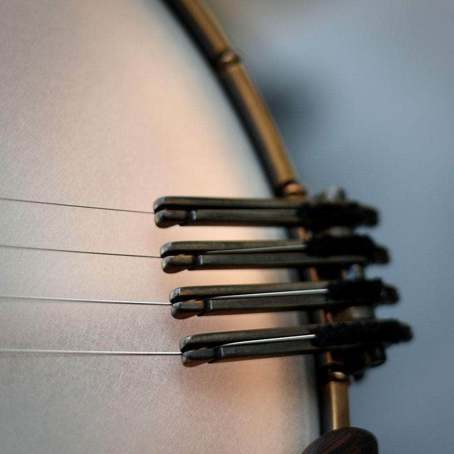 Ome Juniper 19-Fret Tenor Banjo – Banjo Studio