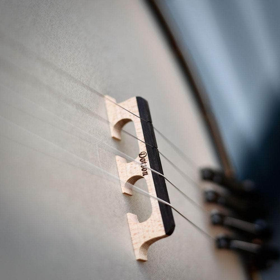 Ome Juniper 19-Fret Tenor Banjo – Banjo Studio