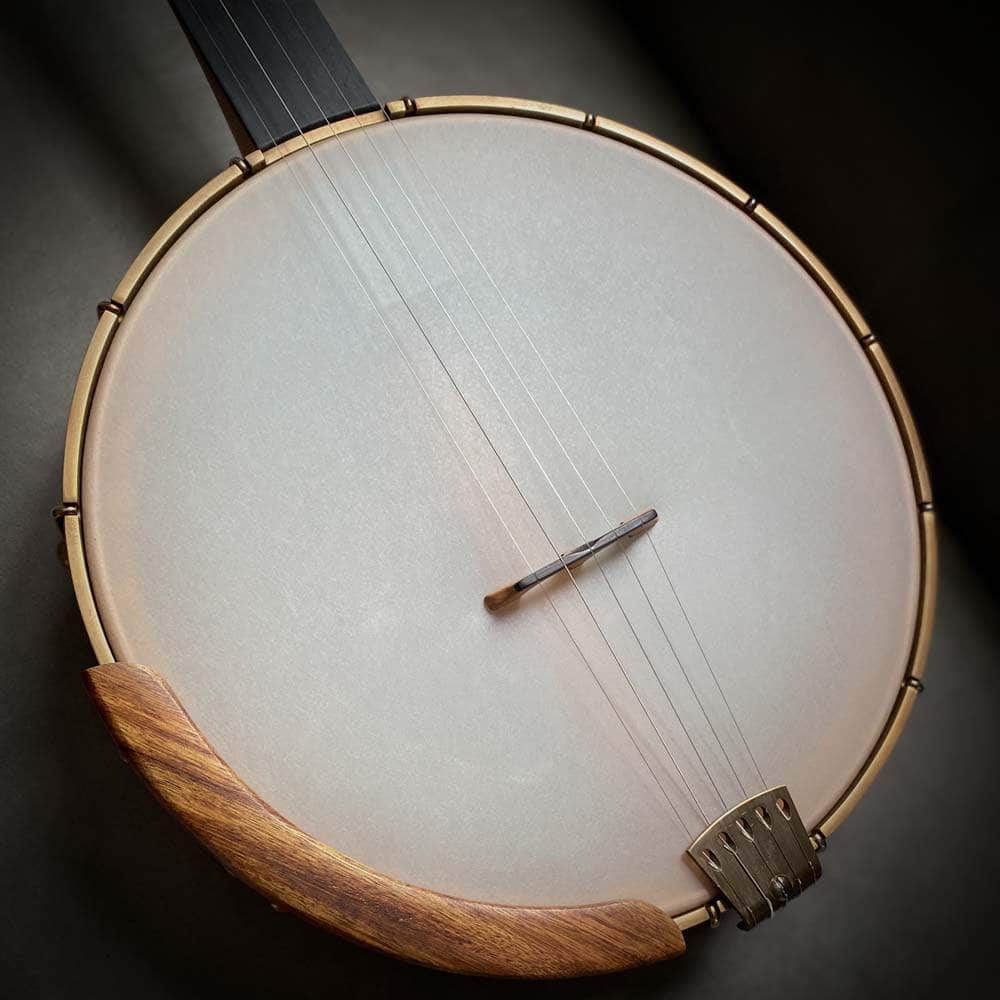 How To Tune a Banjo - Popular Tunings – Banjo Studio