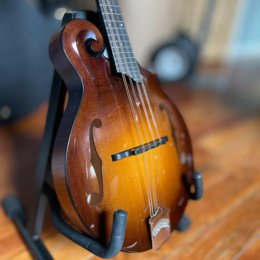 Collings MF Mandolin - Gloss Top – Banjo Studio