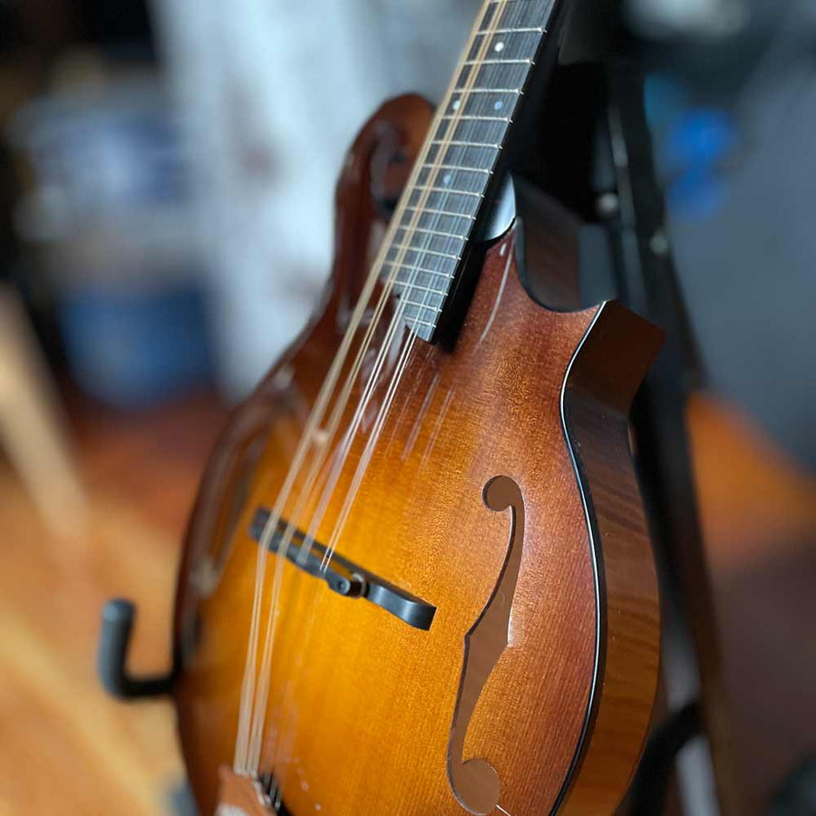 Collings MF Mandolin - Gloss Top – Banjo Studio