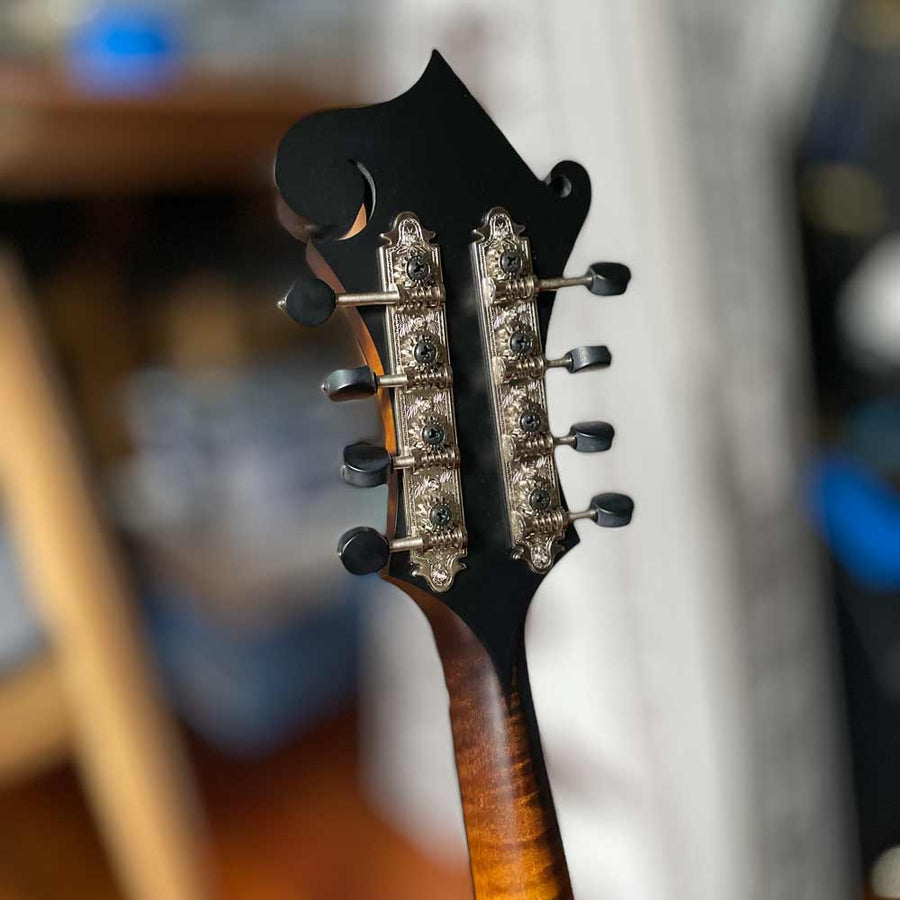 Collings MF Mandolin - Gloss Top – Banjo Studio