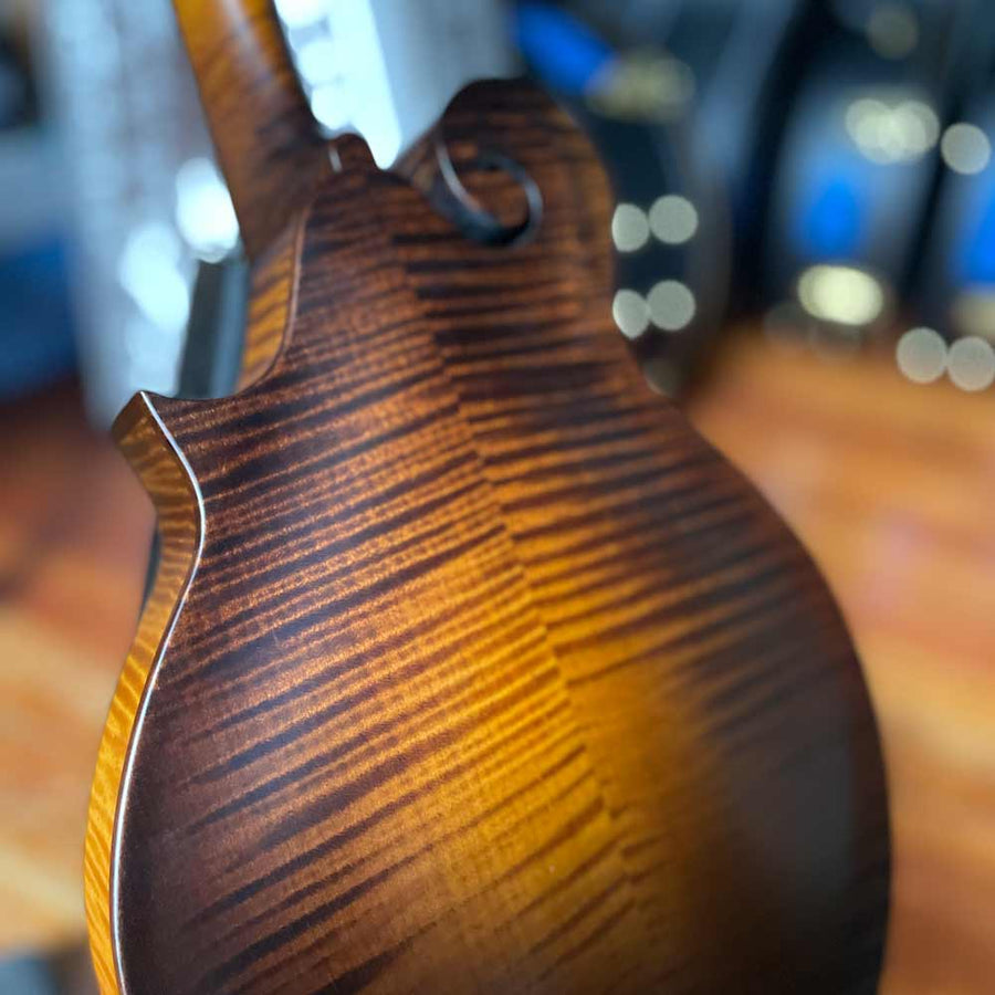 Collings MF Mandolin - Gloss Top – Banjo Studio