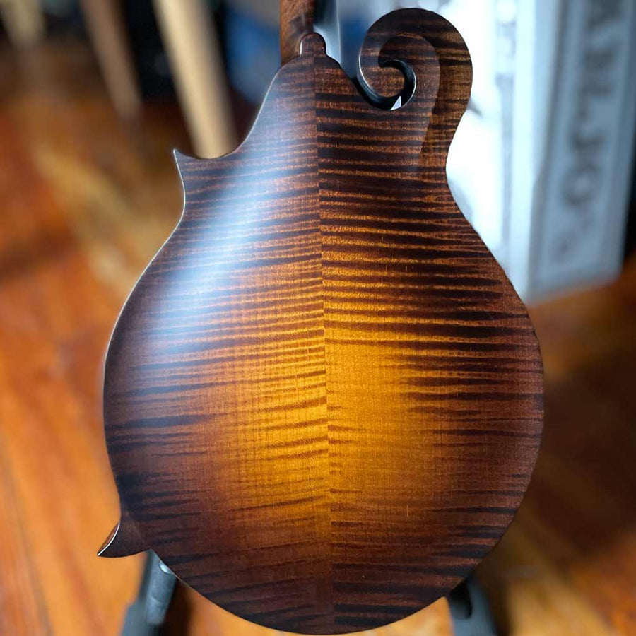 Collings MF Mandolin - Gloss Top – Banjo Studio