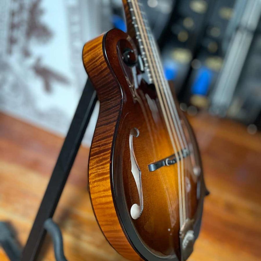 Collings MF Mandolin - Gloss Top – Banjo Studio