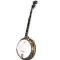 Deering Calico 5-String Banjo – Banjo Studio