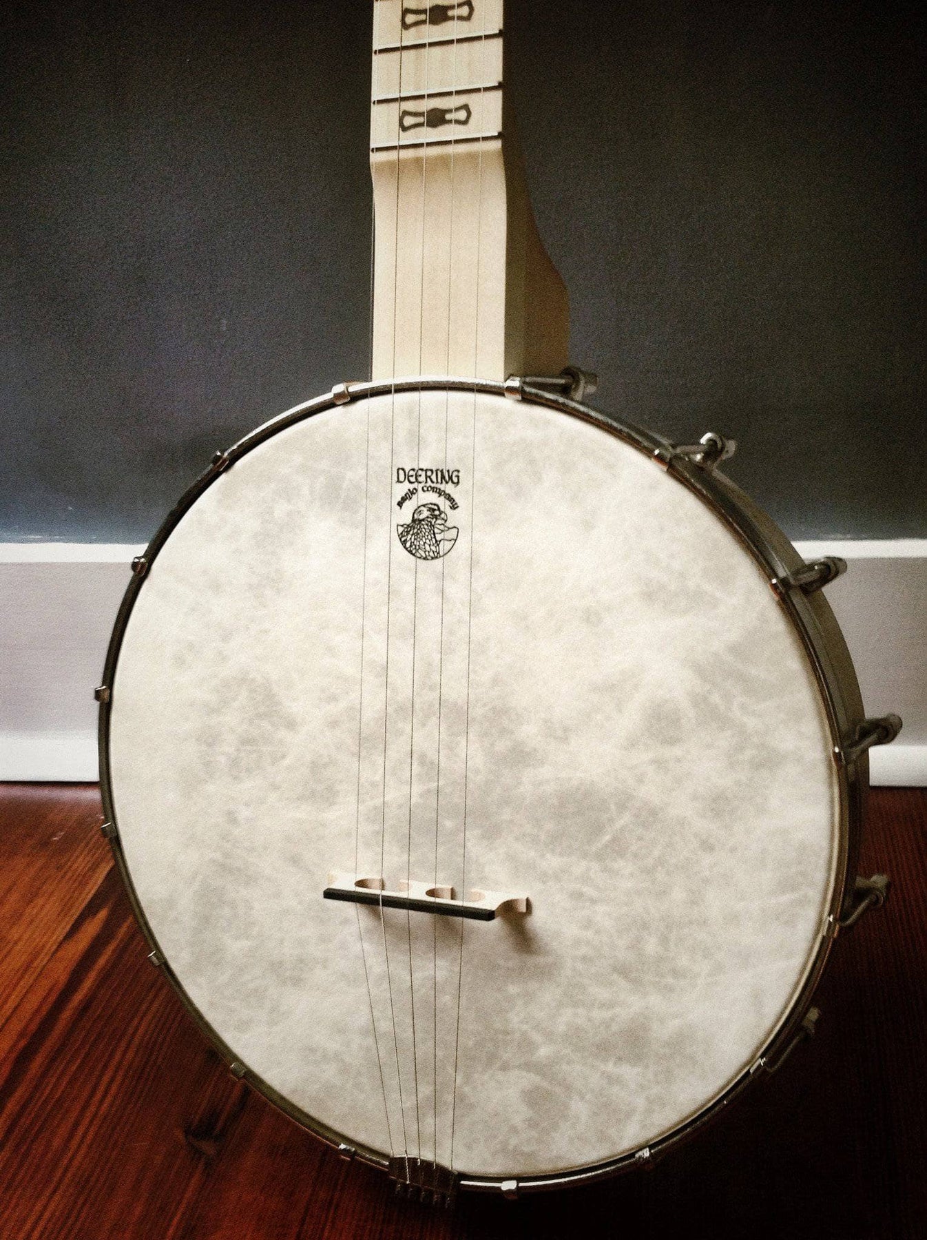 Deering Goodtime Old Time 5-String Banjo – Banjo Studio