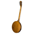 Deering Phoenix Acoustic/Electric 6-String Banjo – Banjo Studio