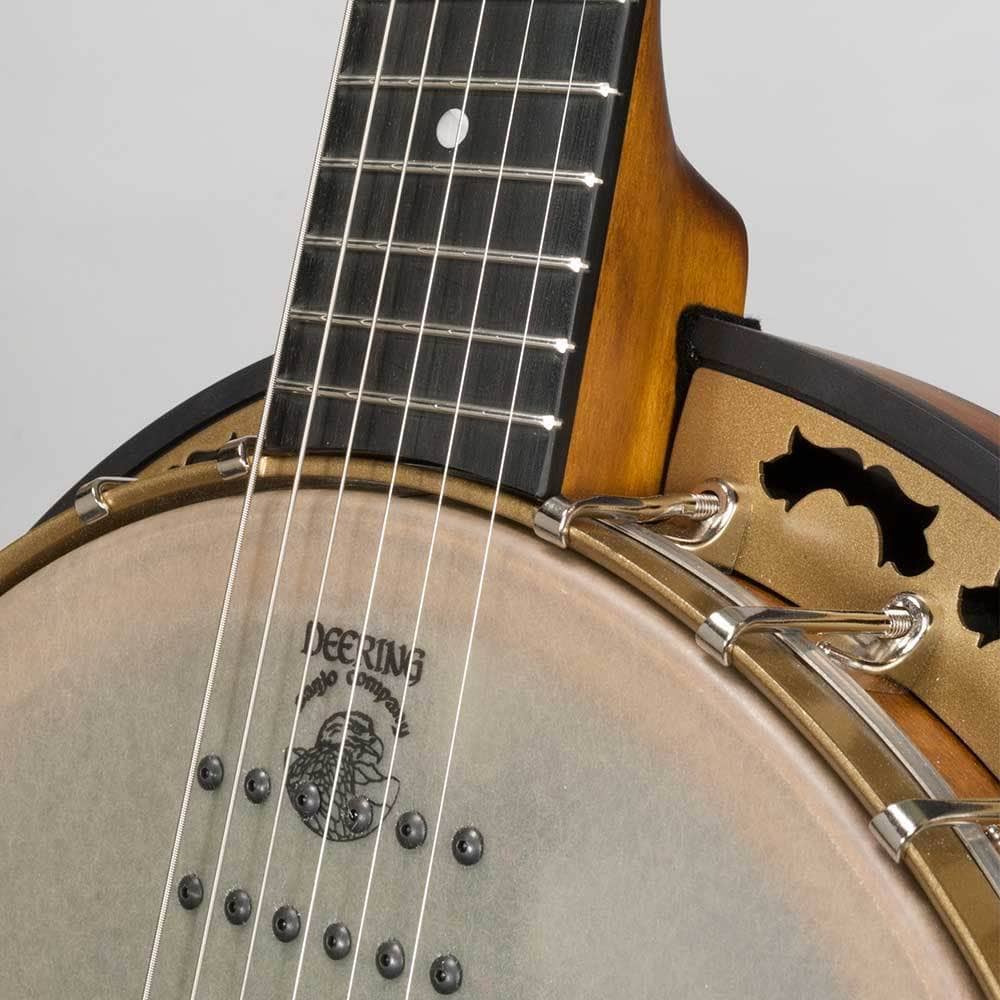 Deering Phoenix Acoustic/Electric 6-String Banjo – Banjo Studio