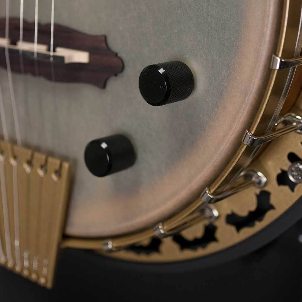 Deering Phoenix Acoustic/Electric 6-String Banjo - Banjo Studio