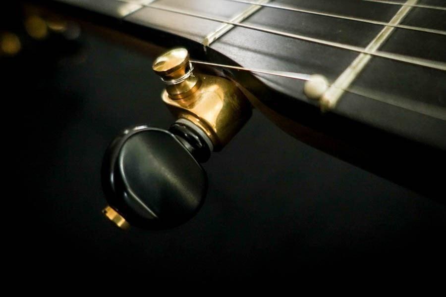 Pisgah Cherry Rambler Dobson 5-String Banjo Short Scale – Banjo Studio