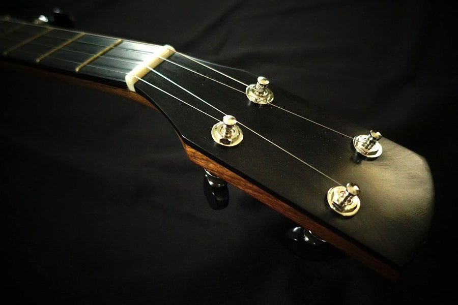 Pisgah Walnut Rambler Dobson A-Scale Banjo – Banjo Studio