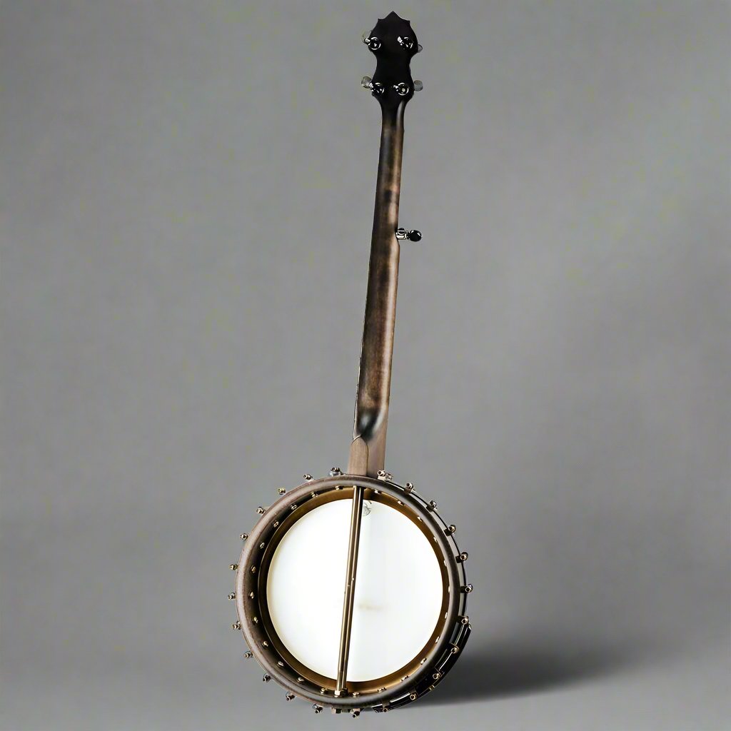 Vega Vintage Star Banjo – Banjo Studio