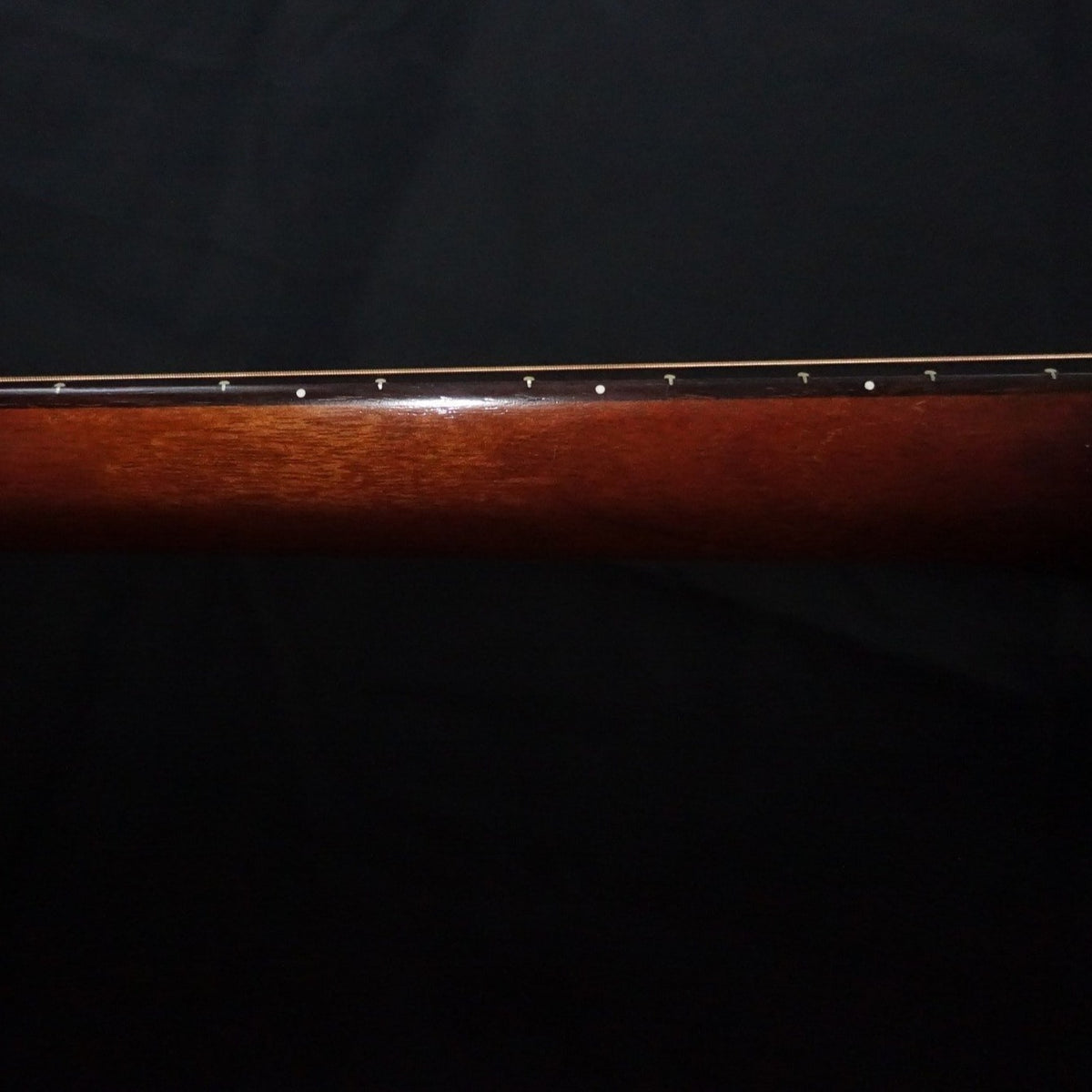 Waterloo WL-14 XTR (X Bracing, Truss Rod) by Collings Guitars - Banjo ...