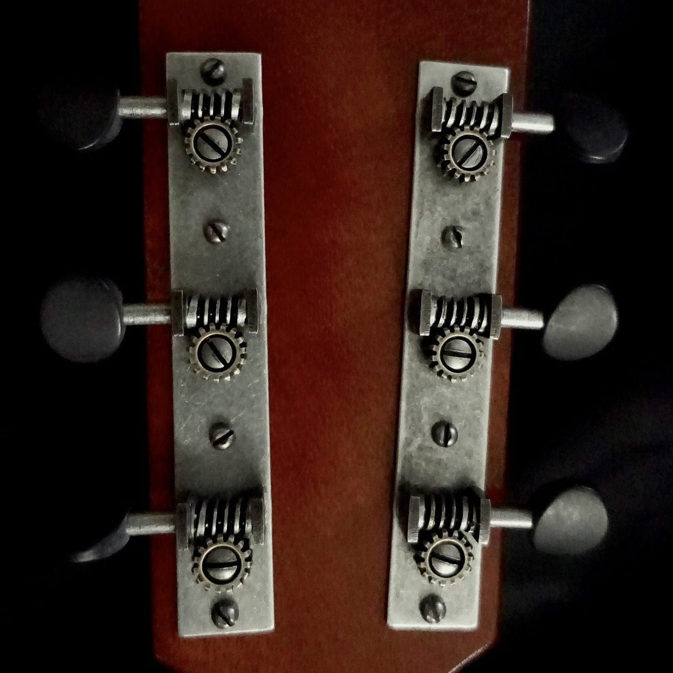 Waterloo WL-14 XTR (X Bracing, Truss Rod) by Collings Guitars - Banjo ...