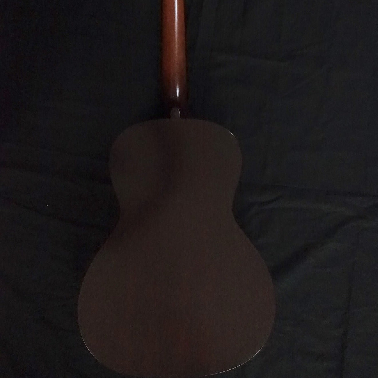 Waterloo WL-14 XTR (X Bracing, Truss Rod) by Collings Guitars - Banjo ...