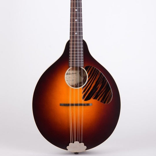 Collings MF Mandolin - Gloss Top – Banjo Studio