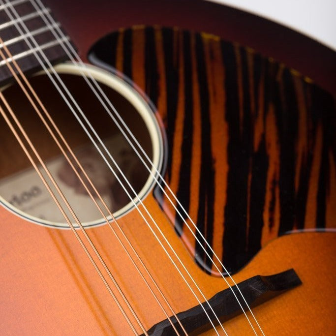 Waterloo WL-M Mandolin – Banjo Studio